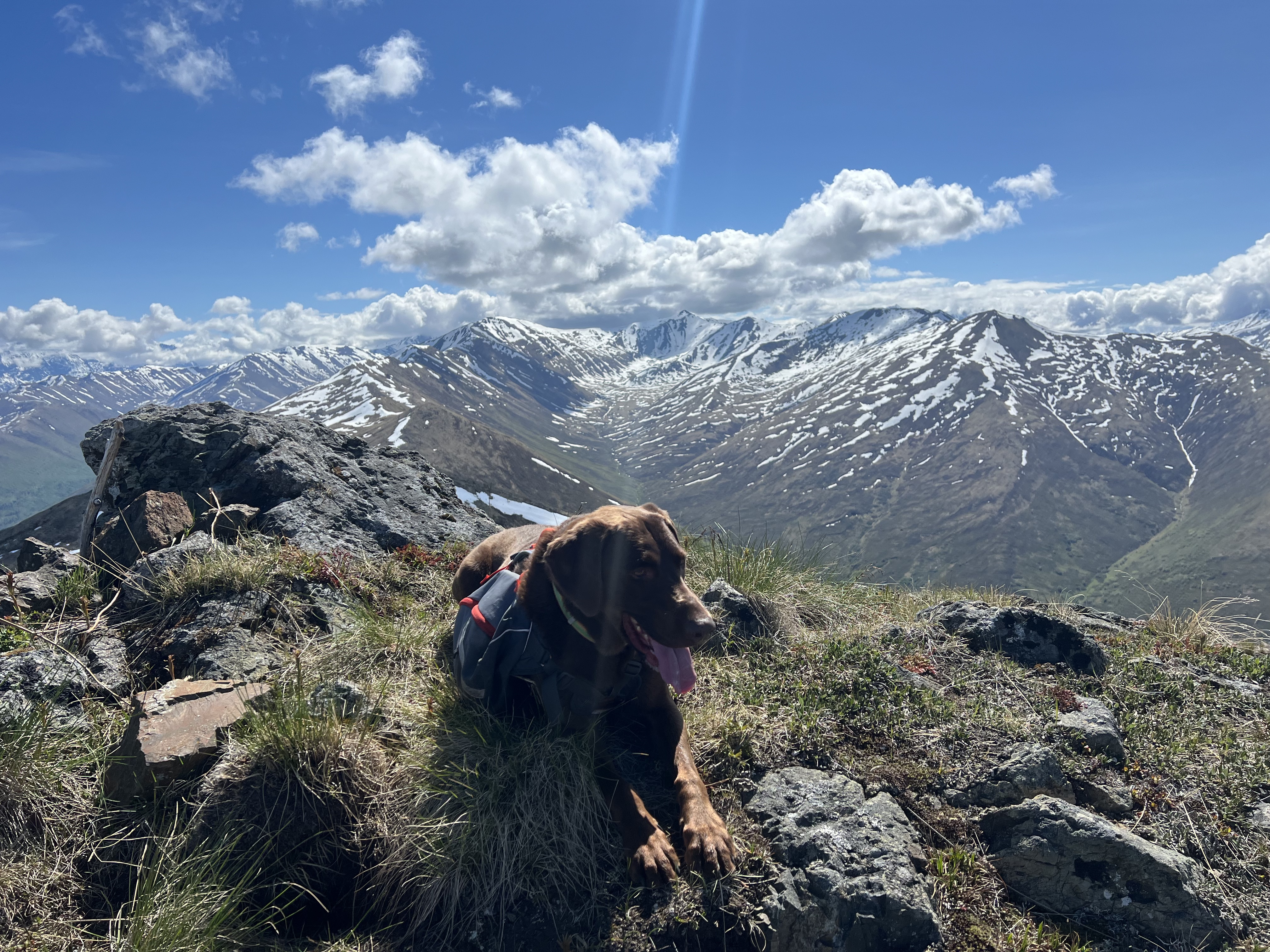 Alaska Peakbagging & Multi-Peak Traverse Trip Reports – Restless Trekker